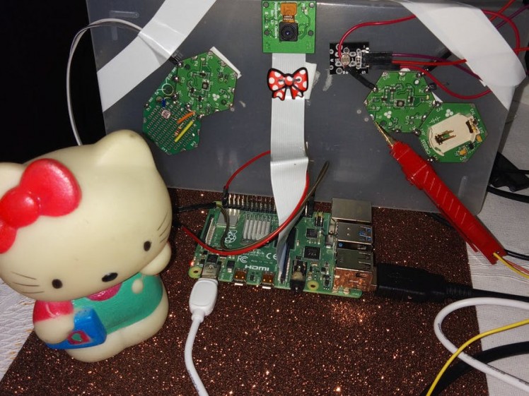 Raspberry Pi Camera Flash Using Hexabitz Modules