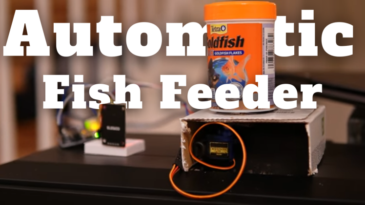 Automatic Fish Feeder | Simple Arduino Project